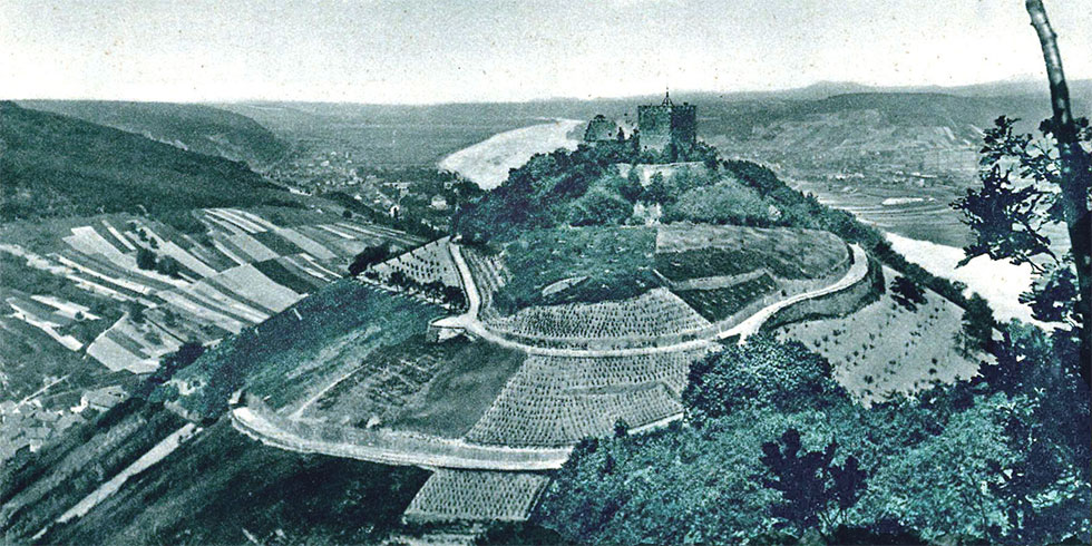 Obst- und Weingärten an Burg Rheineck - Rhein-Ahr Anzeiger